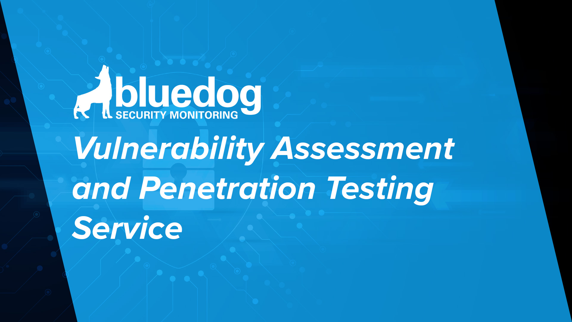 bluedog Cybersecurity Webinars, watch and learn the world of cyber bluedog Cybersecurity Webinars, watch and learn the world of cyber